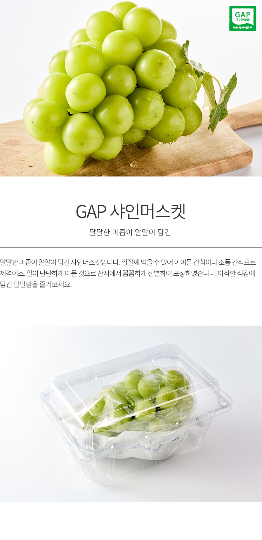 [매장]GAP 샤인머스켓 (500g내외/1송이) - 오아시스마켓::믿을 수 있는 먹거리
